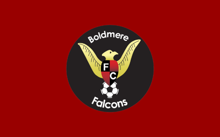Cityfire are now sponsoring Boldmere Falcons Football Club - Cityfire ...